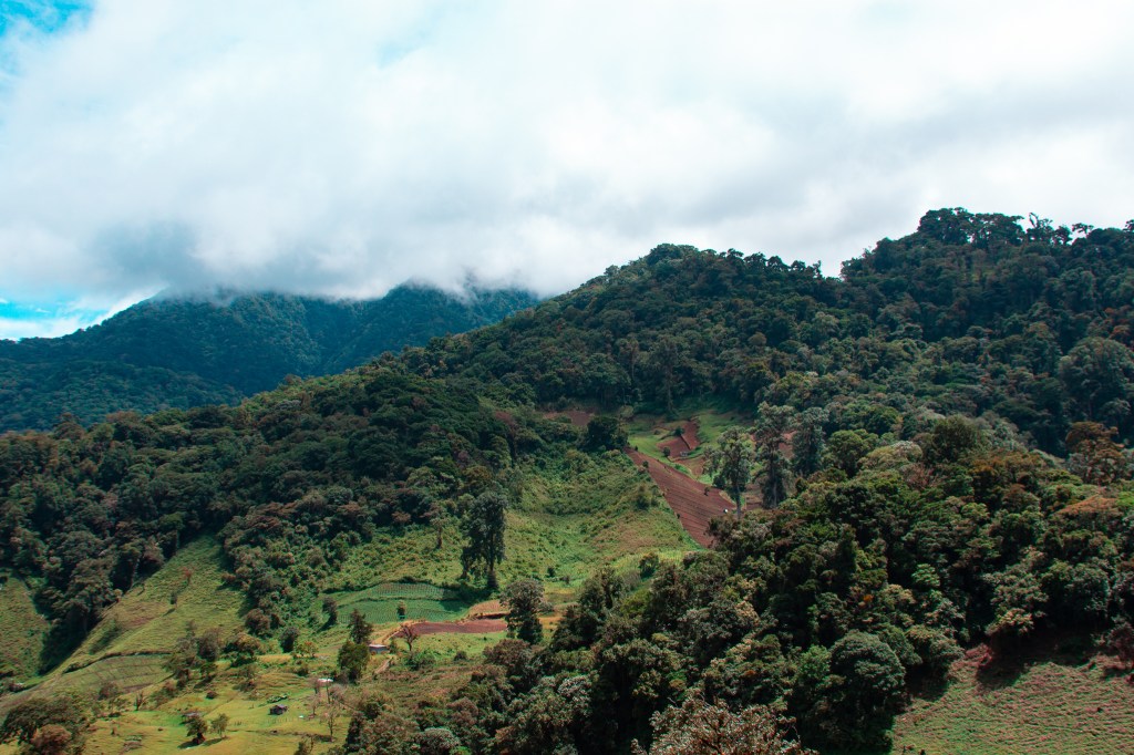 My Learning Enterprises Summer In The Panamanian Countryside – Kayla Cosmos